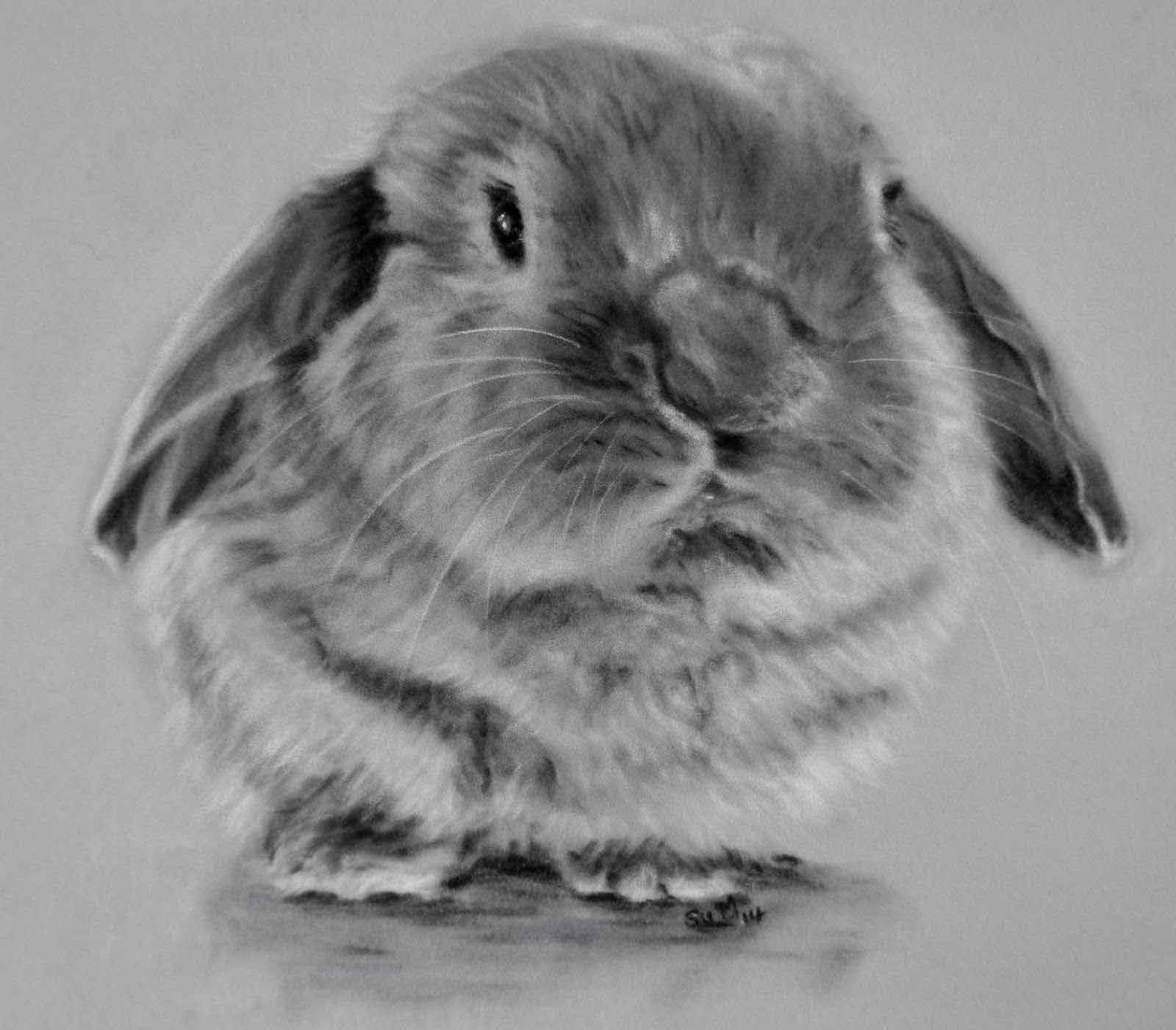 What Is Tone In Drawings?